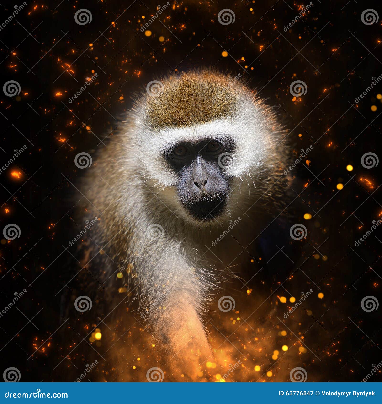 Monkey portrait in fire stock image. Image of design - 63776847