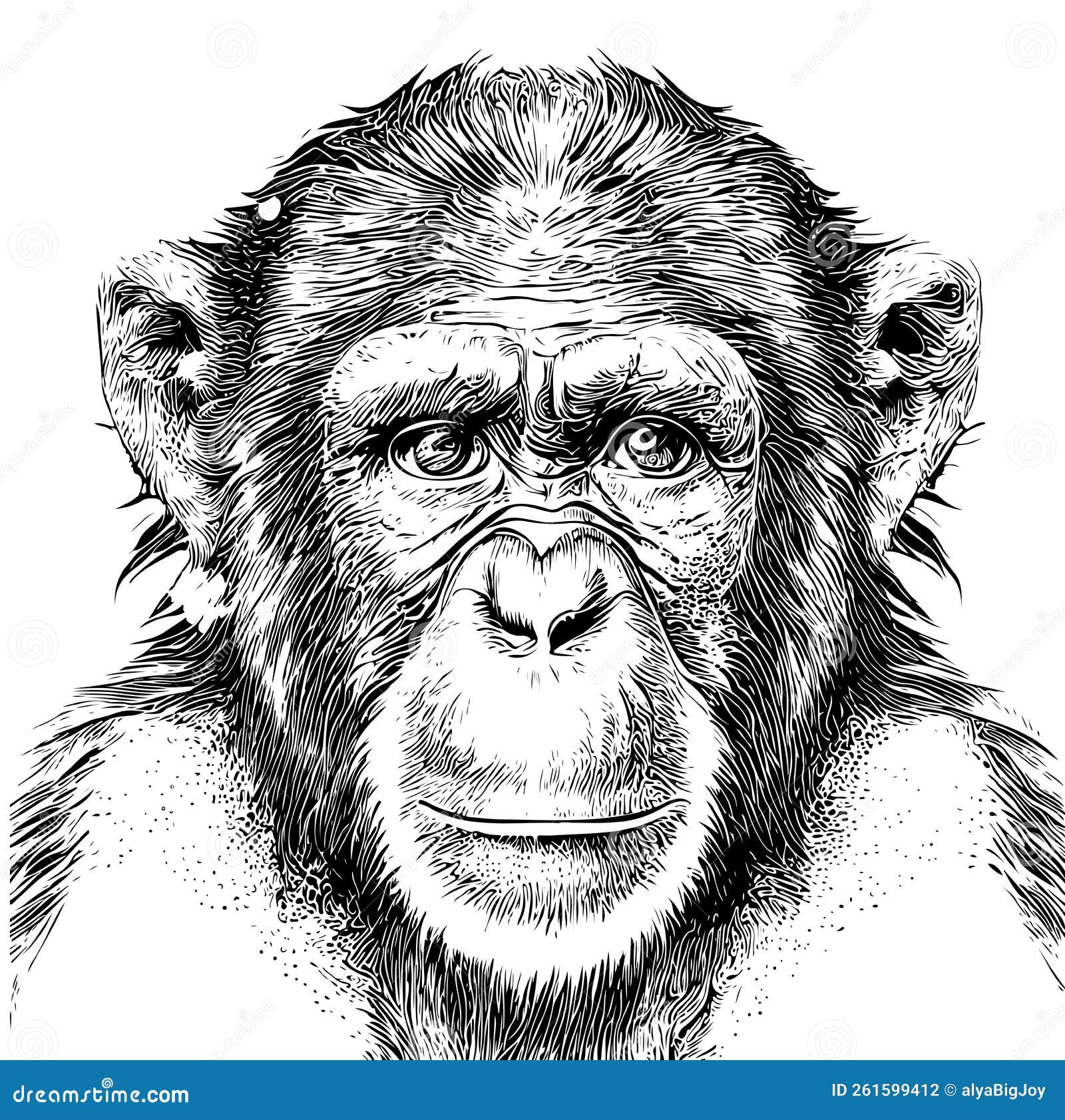 Monkey Portrait Sketch Hand Drawn Vector Illustration Wild Smart ...