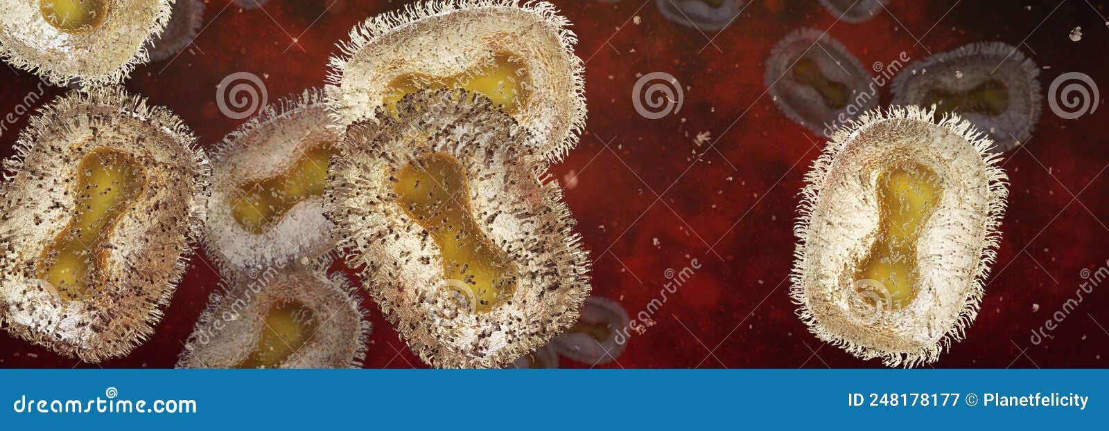 Smallpox Cell - Isolated On Black Stock Image | CartoonDealer.com #43059853