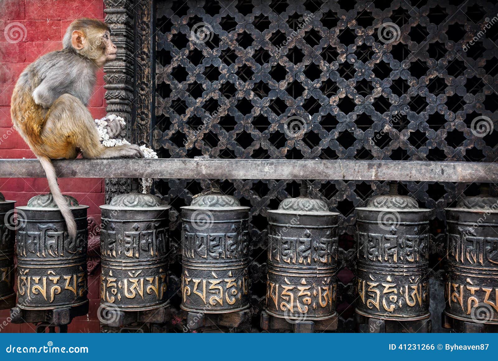 3,054 Monkey Prayer Stock Photos - Free & Royalty-Free Stock Photos ...