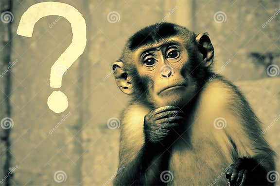 Monkey and a Question Mark Sign. Generative AI Stock Illustration ...