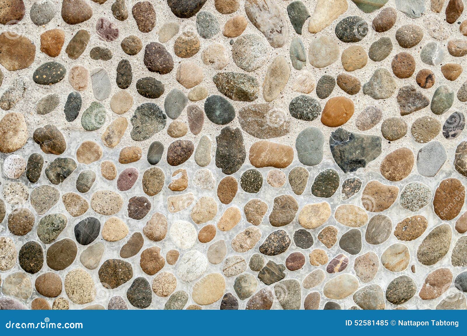 Monkey Raging and Fierce on Tree Stock Image - Image of macaque, danger ...