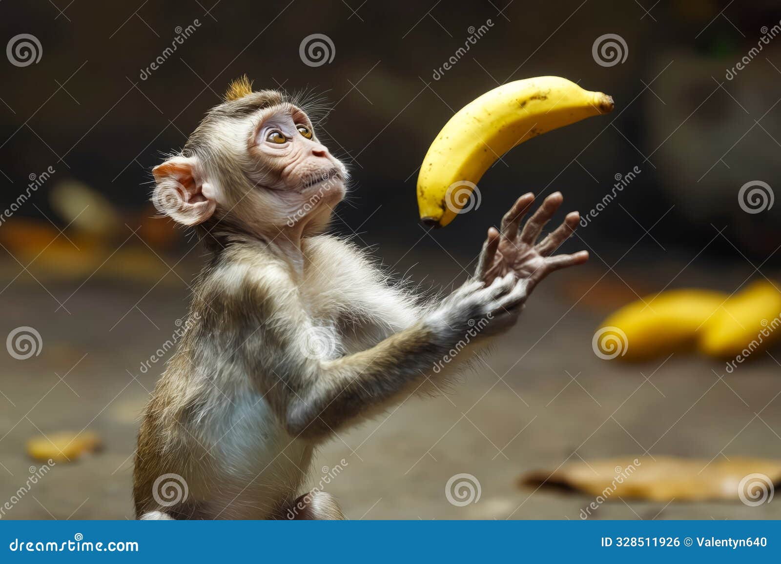 A Monkey Reaching for a Banana on the Ground. Generative AI Stock Photo ...