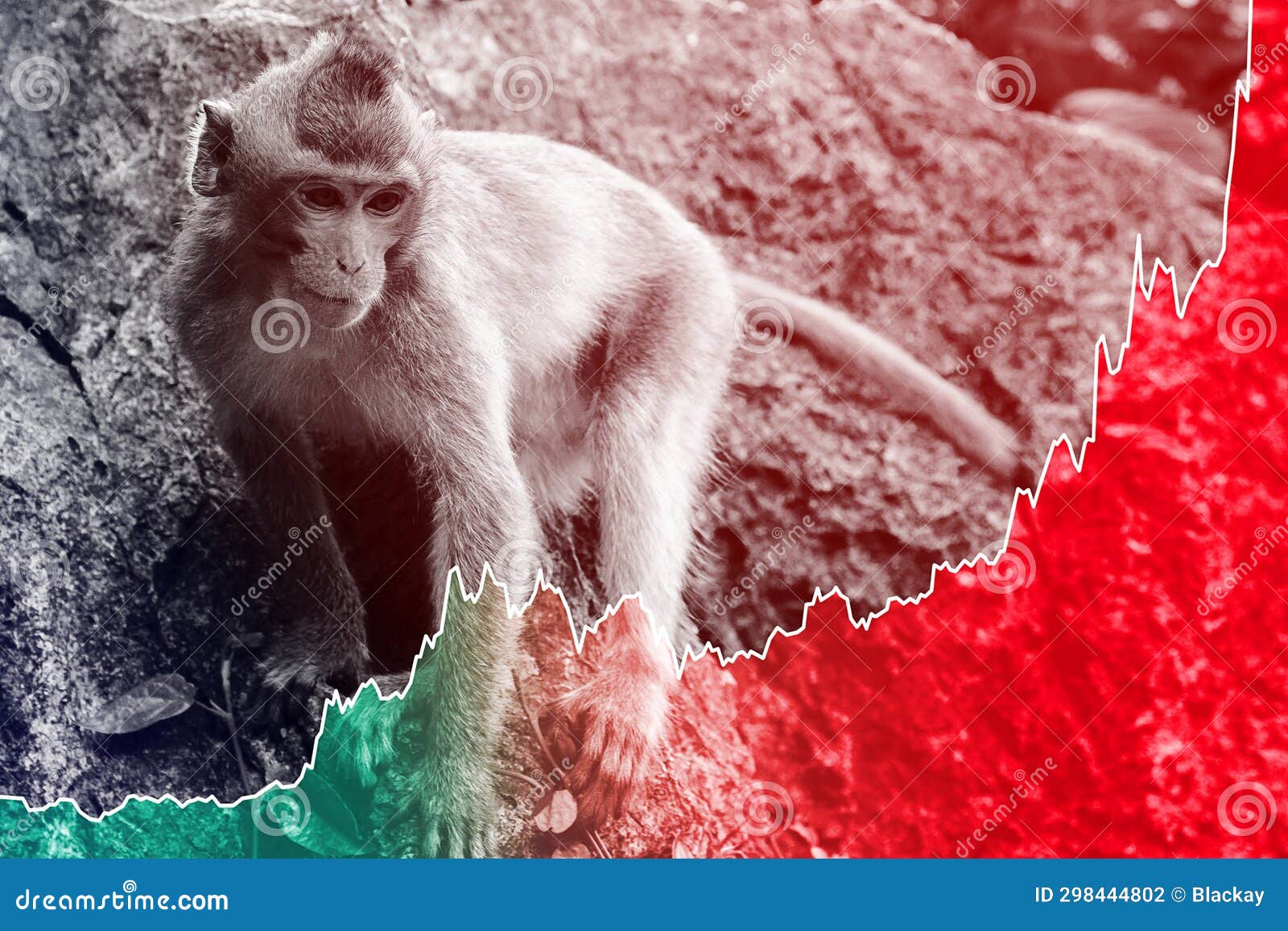 Monkey and Rising Diagram of Monkeypox Virus Cases during the Outbreak ...