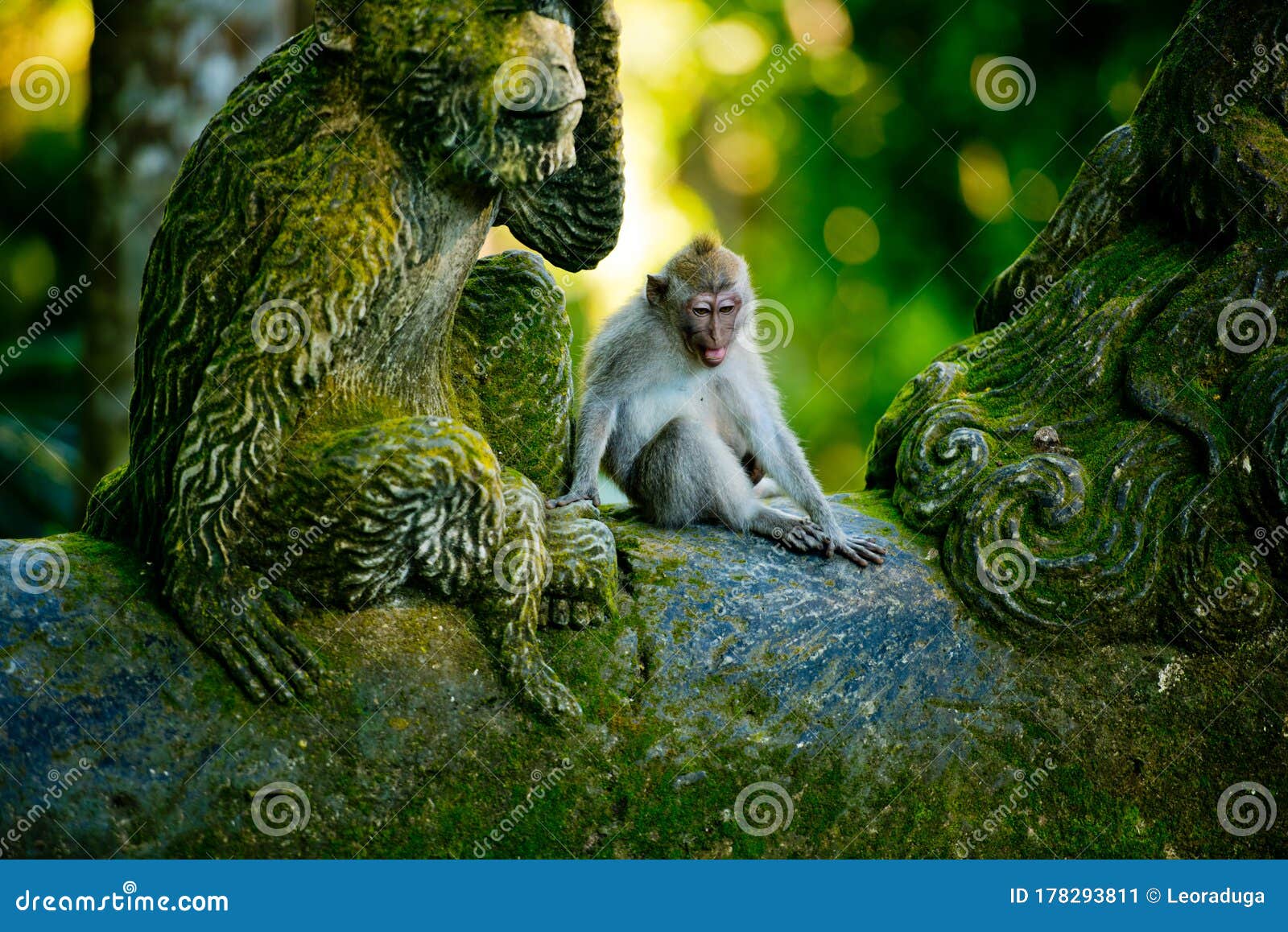 Monkey Sits on the Stone Statue and Looking. Stock Image - Image of ...