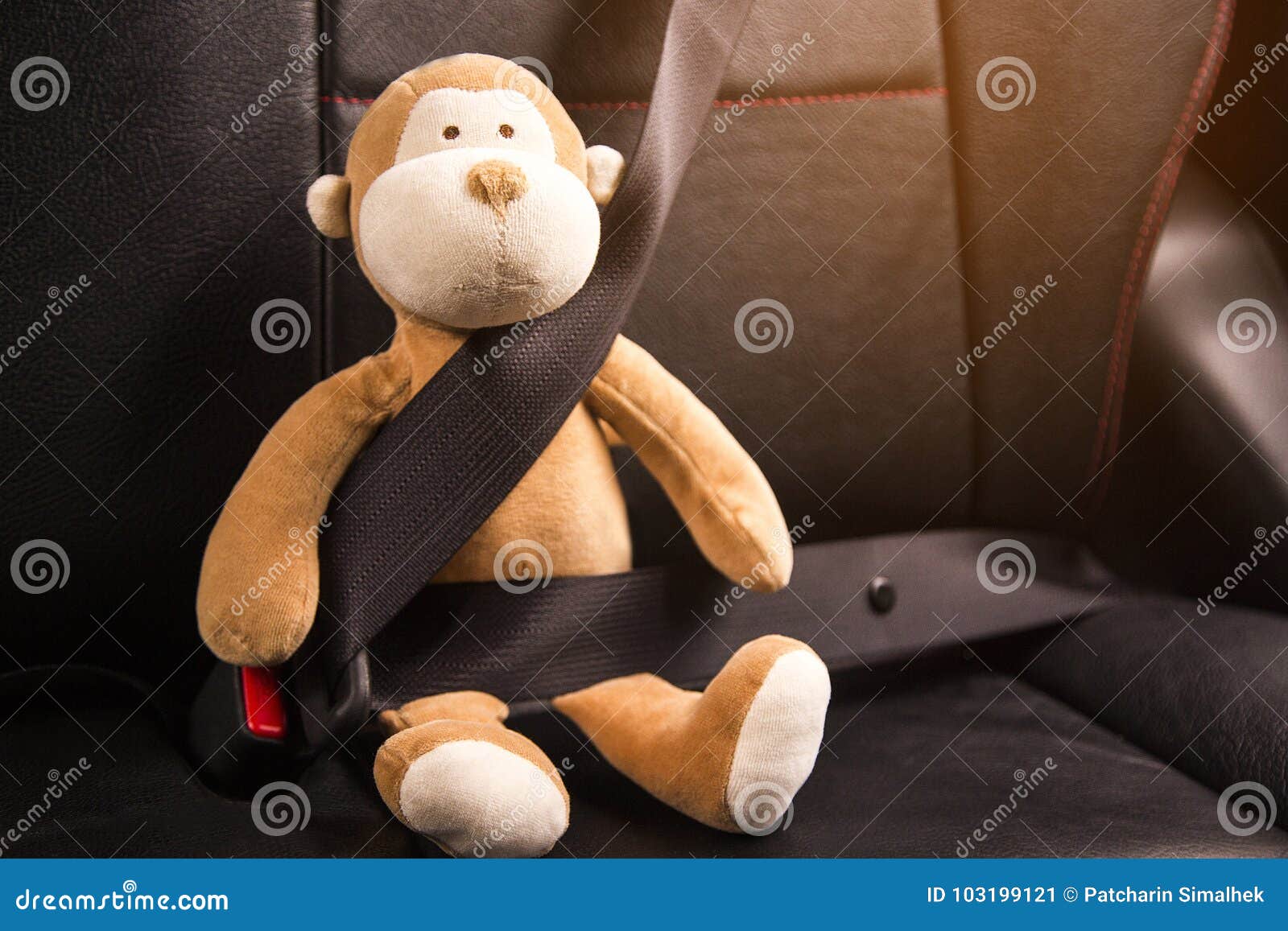 144 Monkey Driving Stock Photos - Free & Royalty-Free Stock Photos from ...