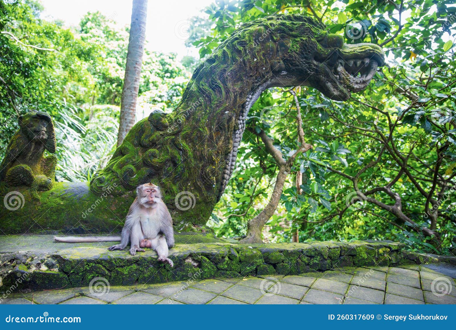 Statue At Forest In Yamadera, Japan Stock Photo | CartoonDealer.com ...