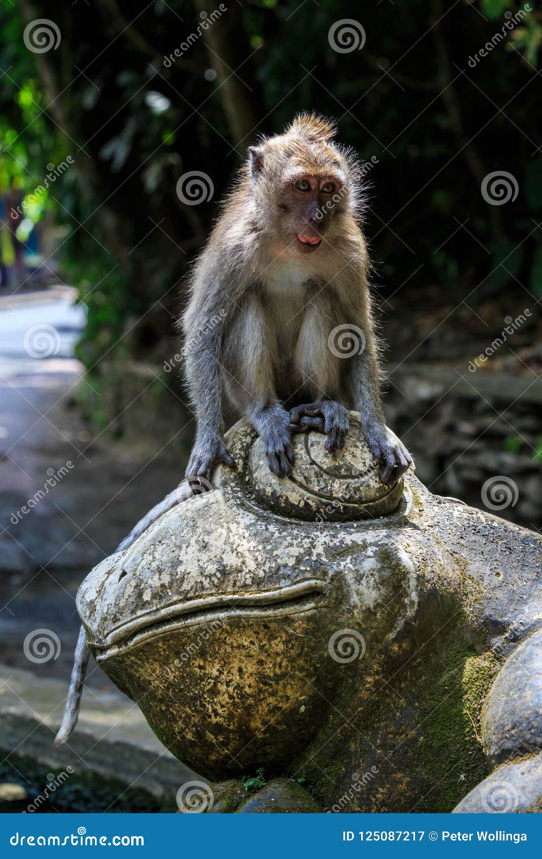 Monkey Sitting on Top of a Frog Statue in Monkey Forest at Ubud Stock ...