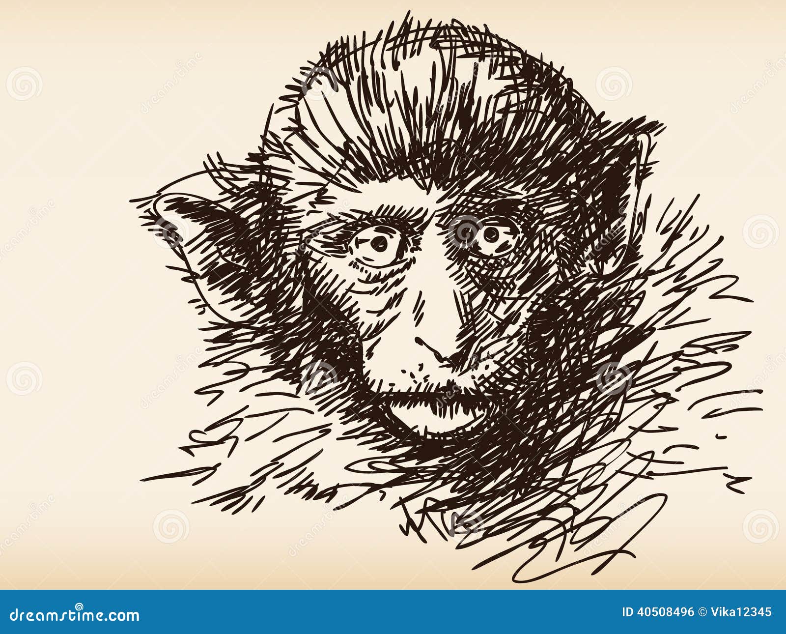 Monkey sketch stock vector. Illustration of strokes, doodle - 40508496