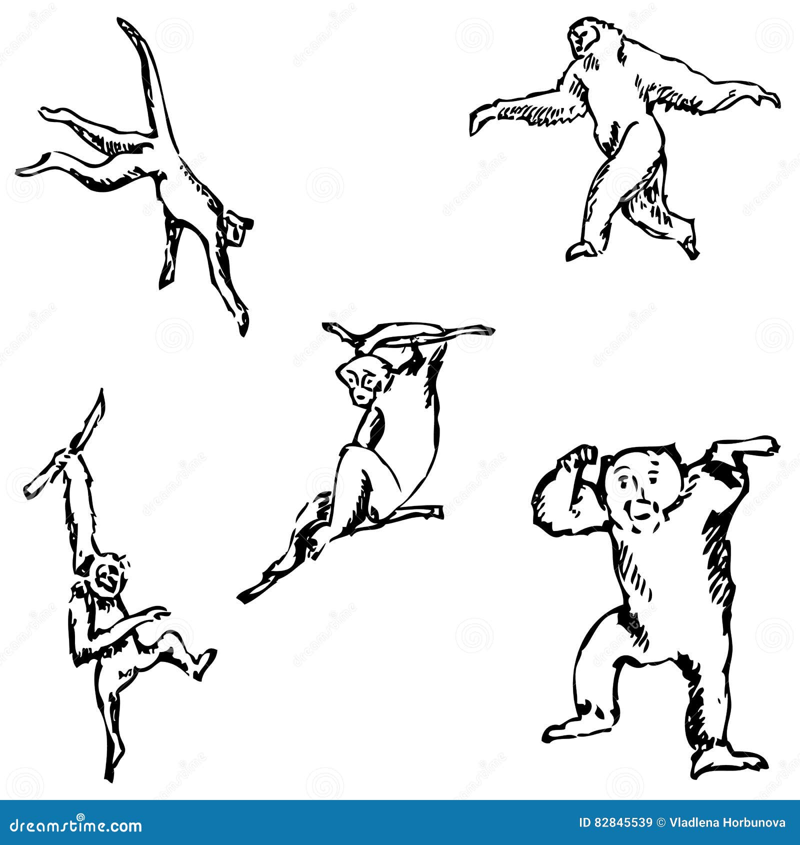 Hanging Monkey Outline