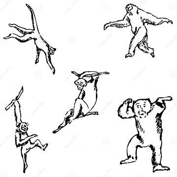 Monkey. a sketch by hand stock vector. Illustration of collection ...