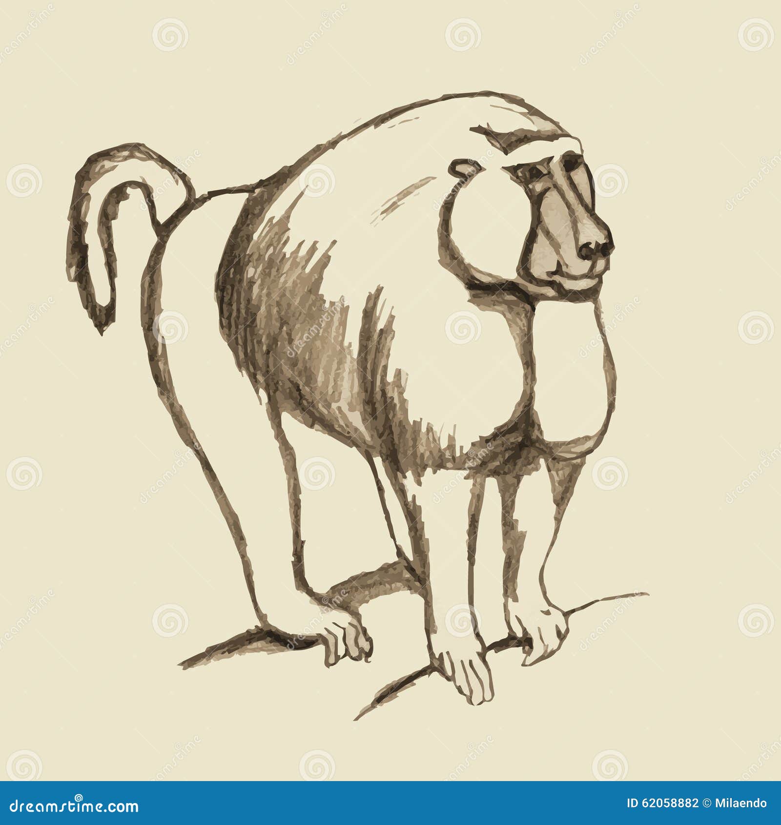 Monkey Sketch in Vintage Style Stock Vector - Illustration of black ...