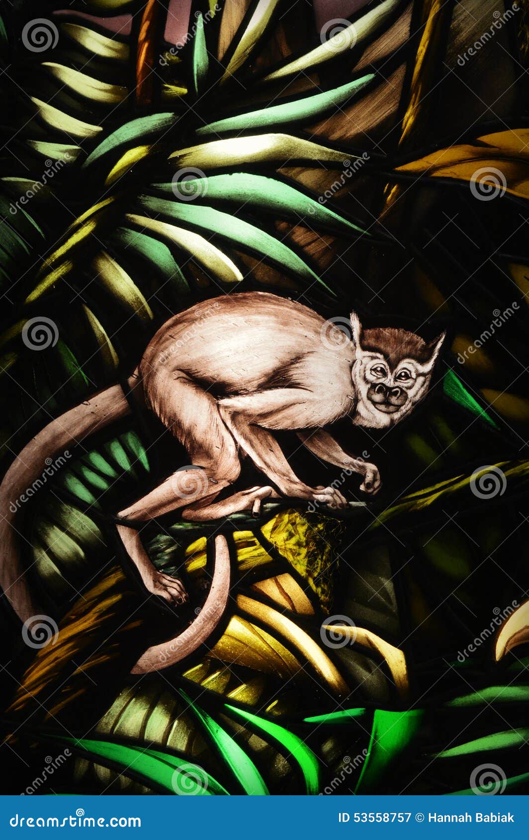Monkey Stained Glass stock image. Image of evolution - 53558757