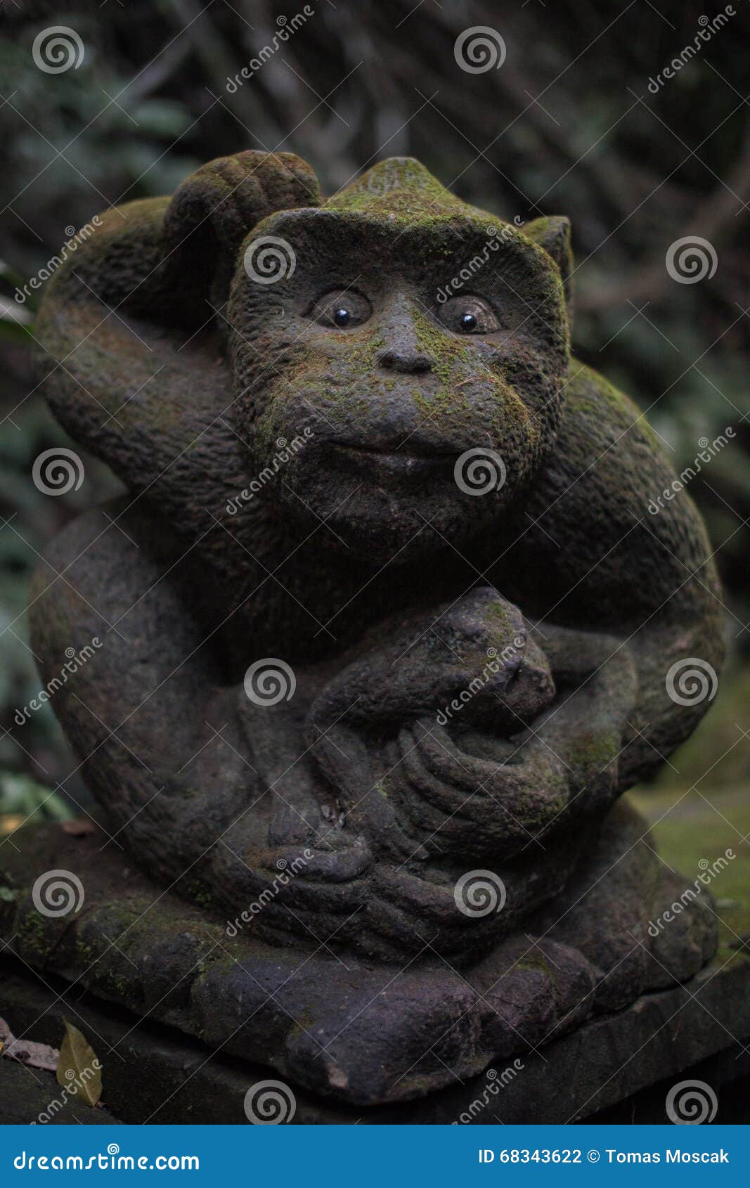 Monkey statue stock photo. Image of forrest, attraction - 68343622