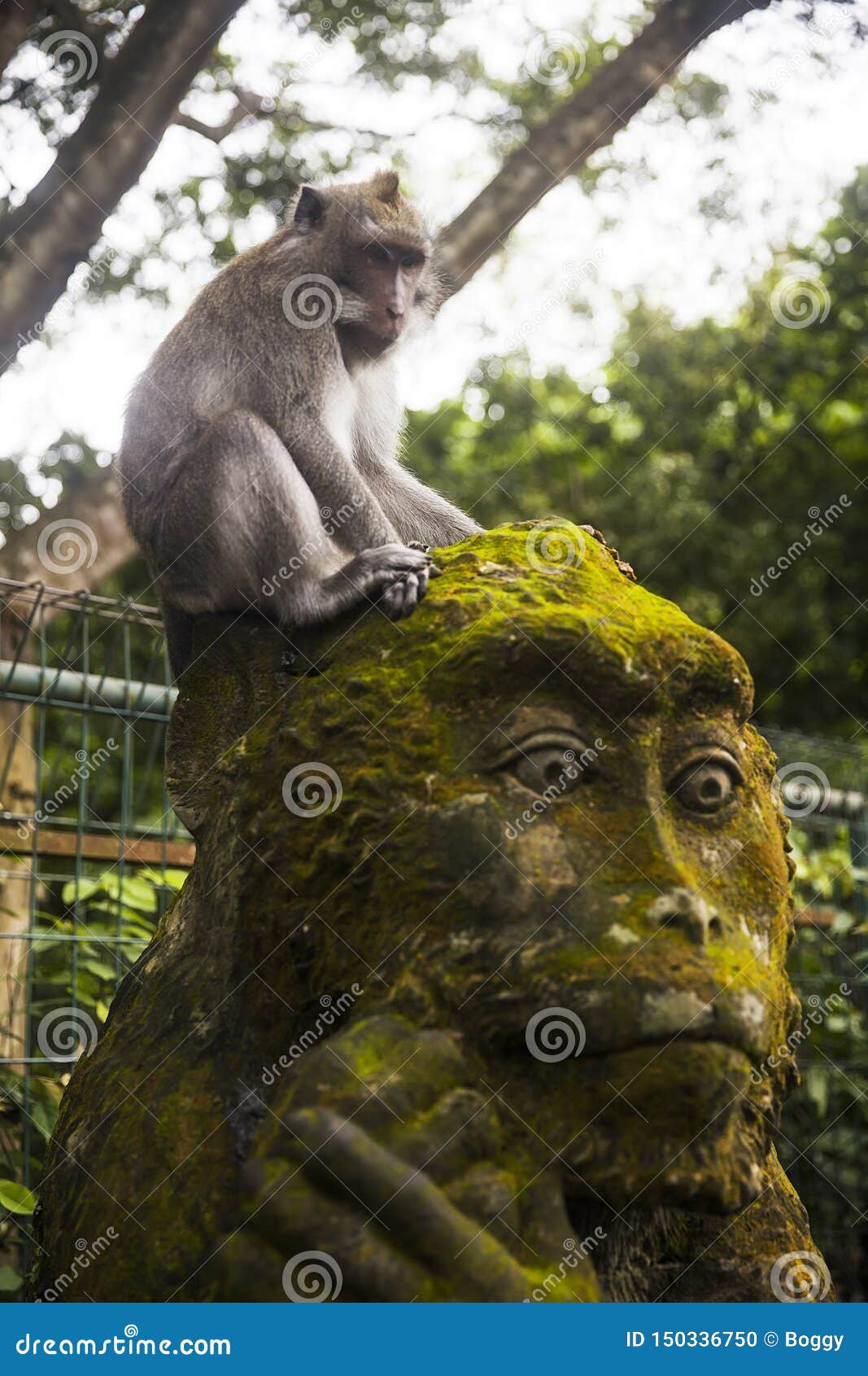 Monkey on the Statue at Ubud Monkey Forest Sanctuary at Bali, Indonesia ...