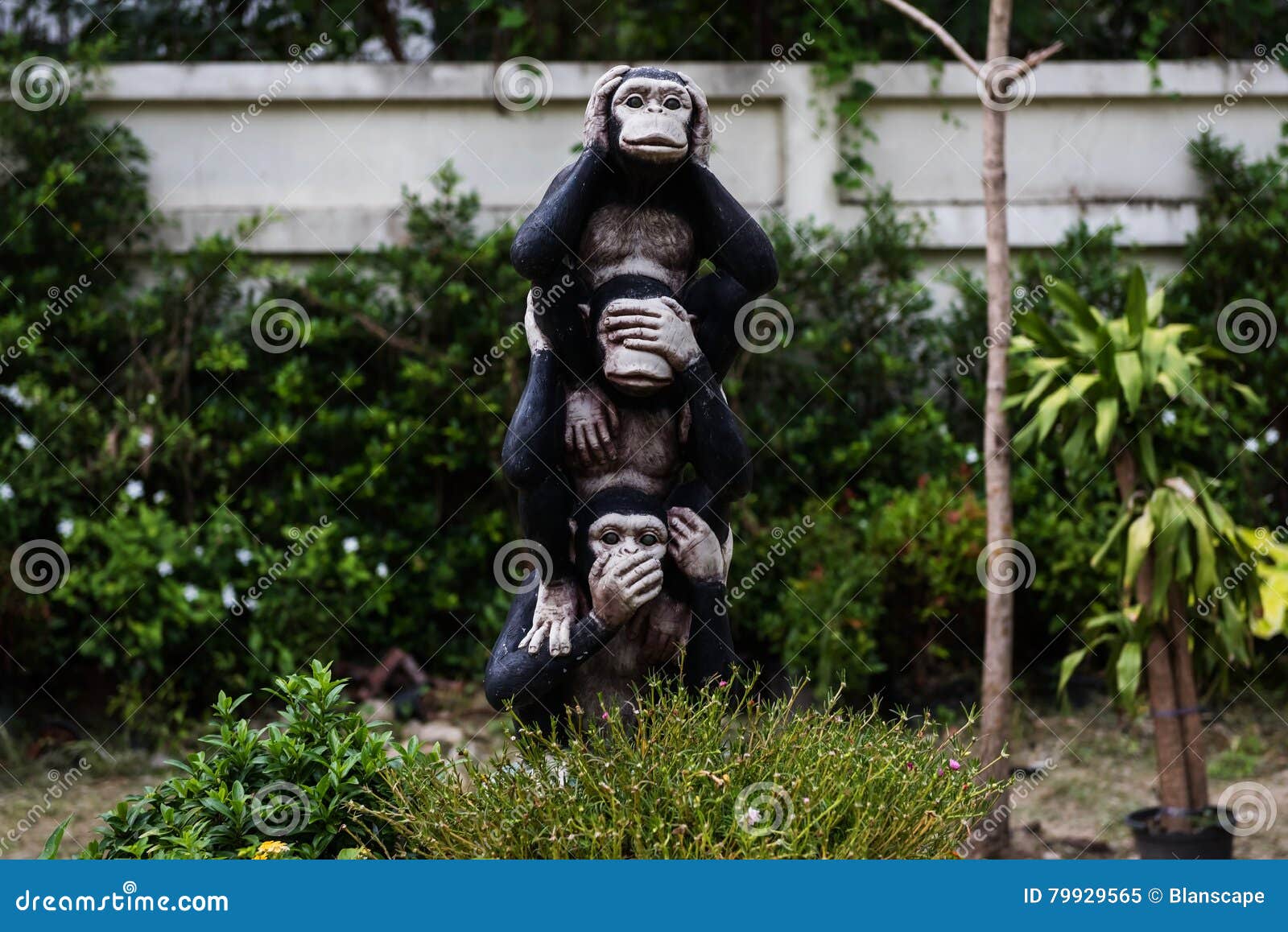 Monkey Statues Hand Sign Stock Photos - Free & Royalty-Free Stock ...
