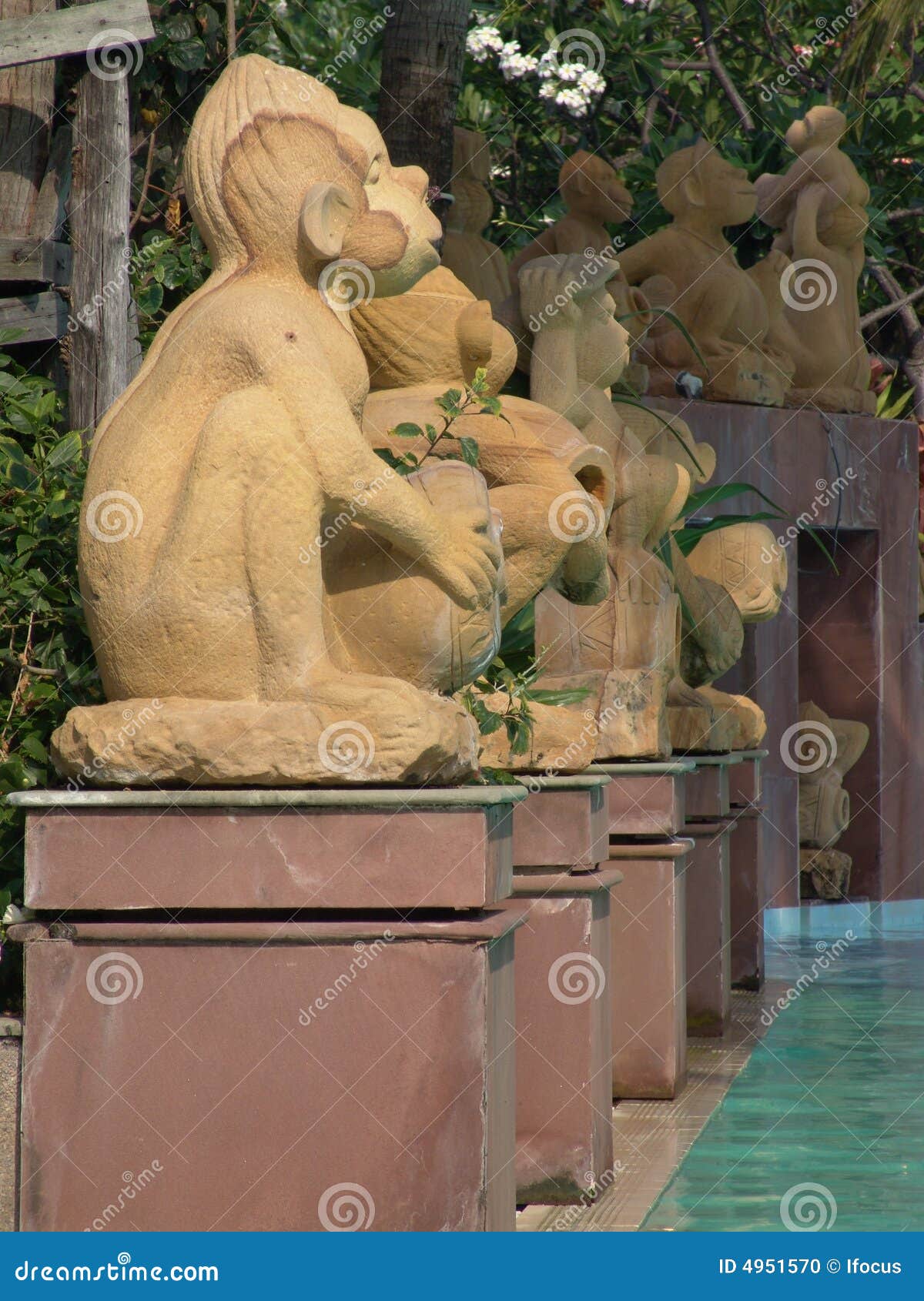 Monkey statues by the pool stock photo. Image of asia - 4951570