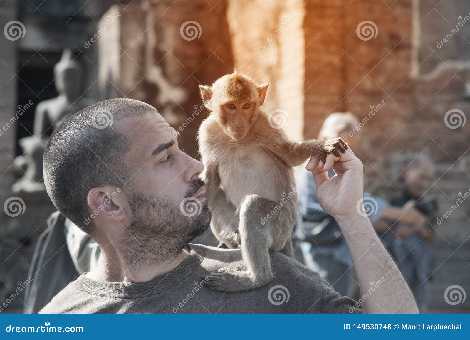 Monkey Sticks on the Shoulders of Tourists and Caresses the Hair ...