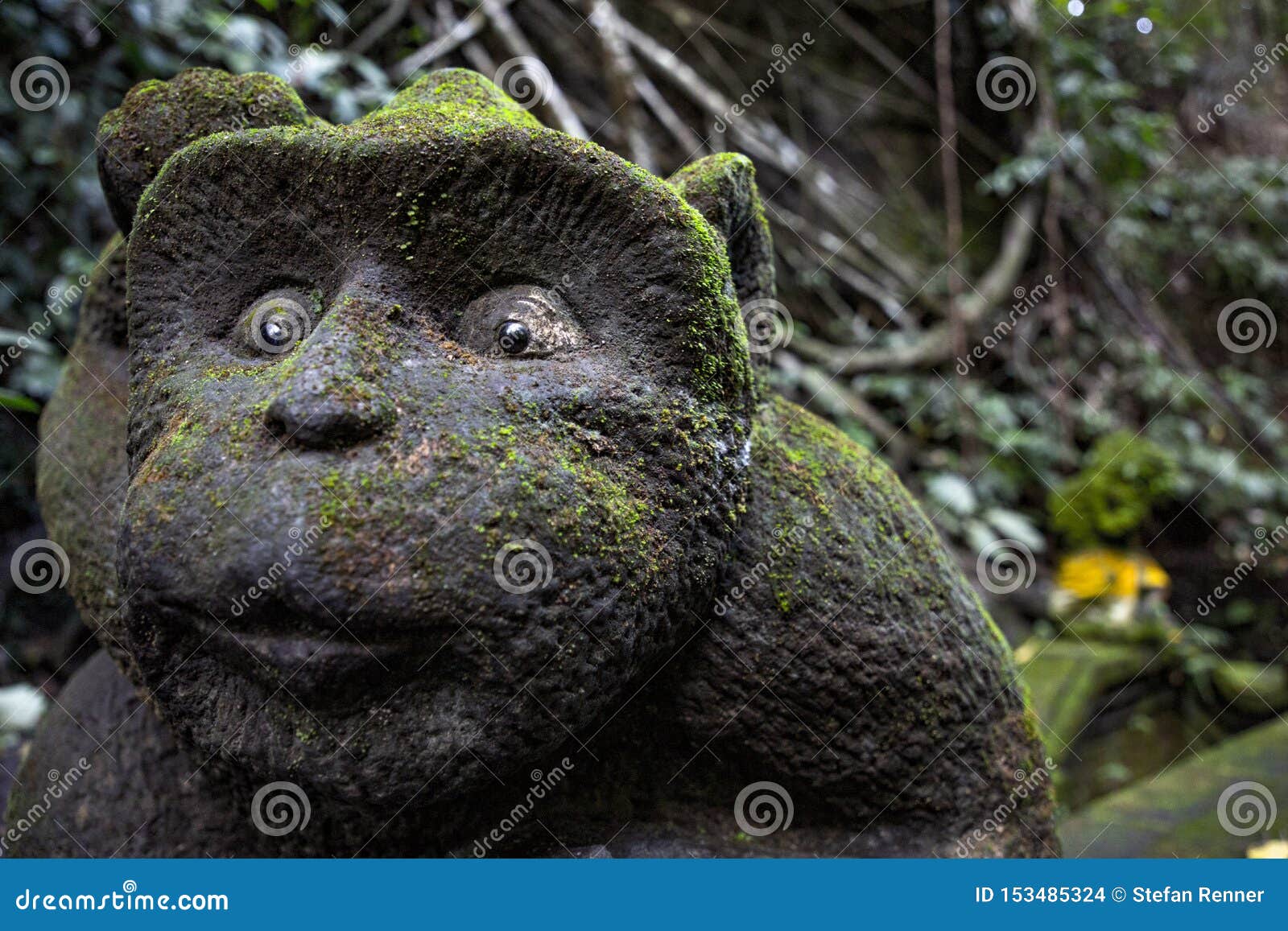 Monkey On Stone.Wild Macaque On A Rock In A National Park Royalty-Free ...