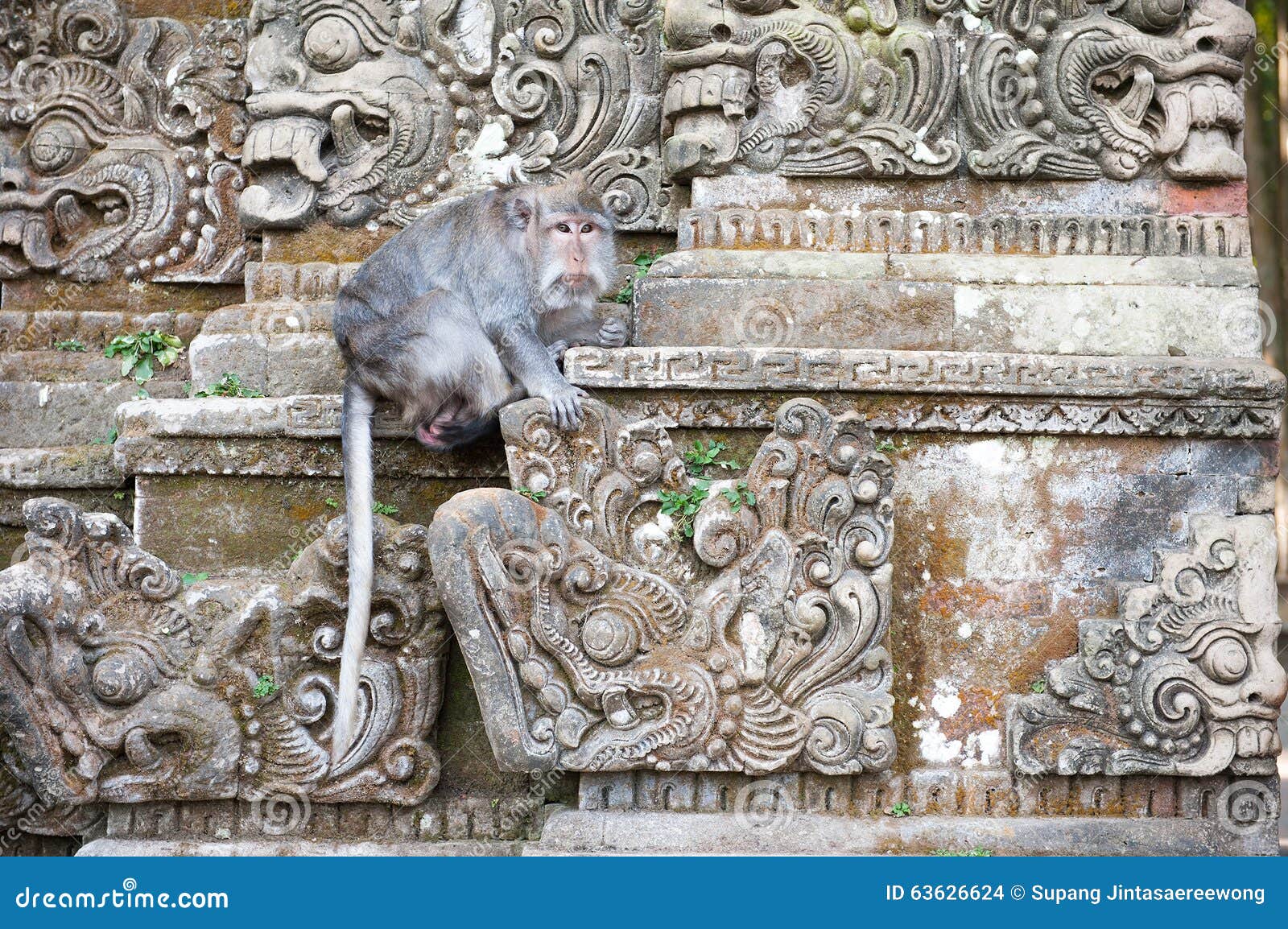 Monkey on stone carving stock photo. Image of bali, demonic - 63626624