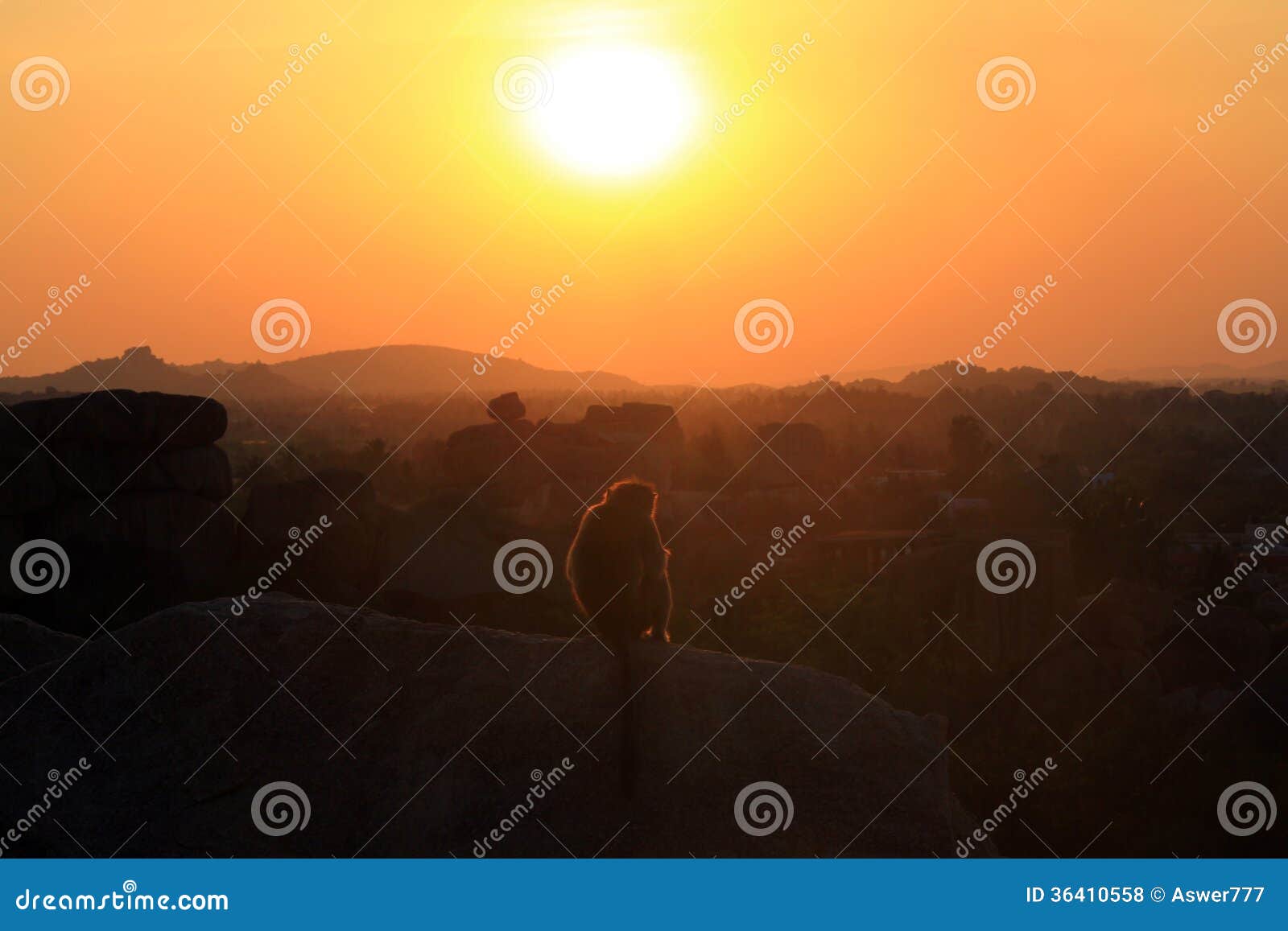 Monkey and sunset stock photo. Image of exotic, hill - 36410558