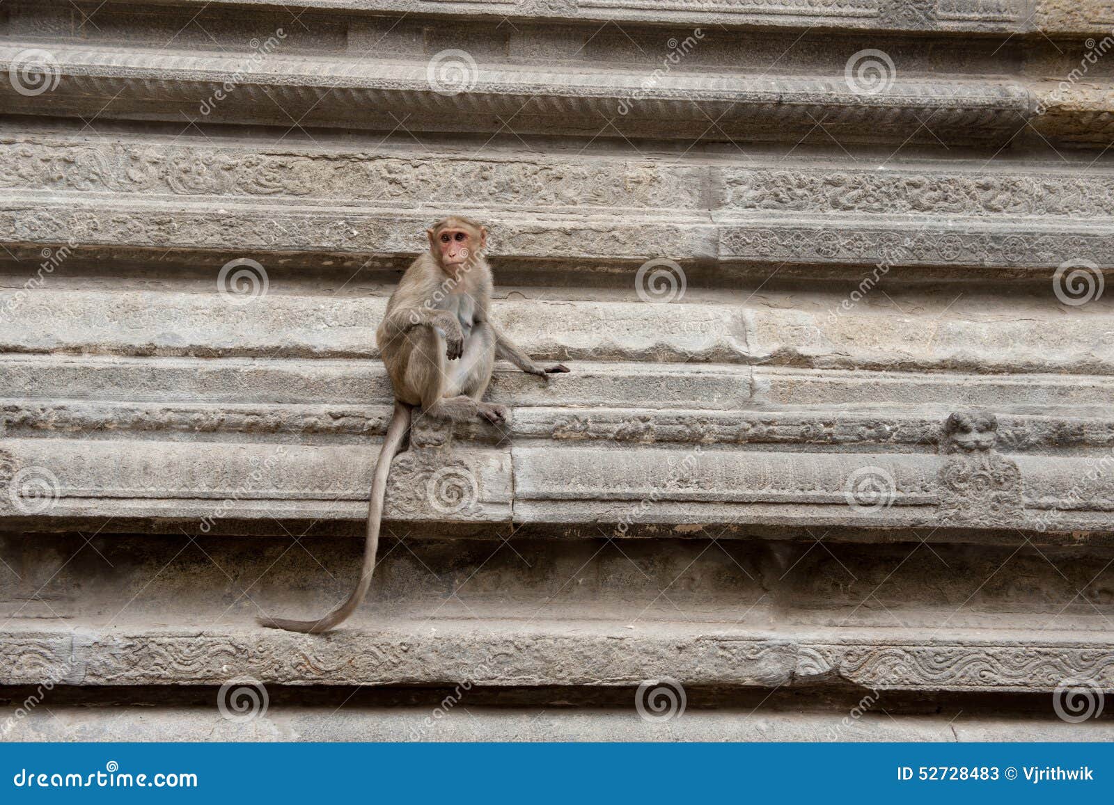Monkey in a Temple stock image. Image of animal, sculpture - 52728483