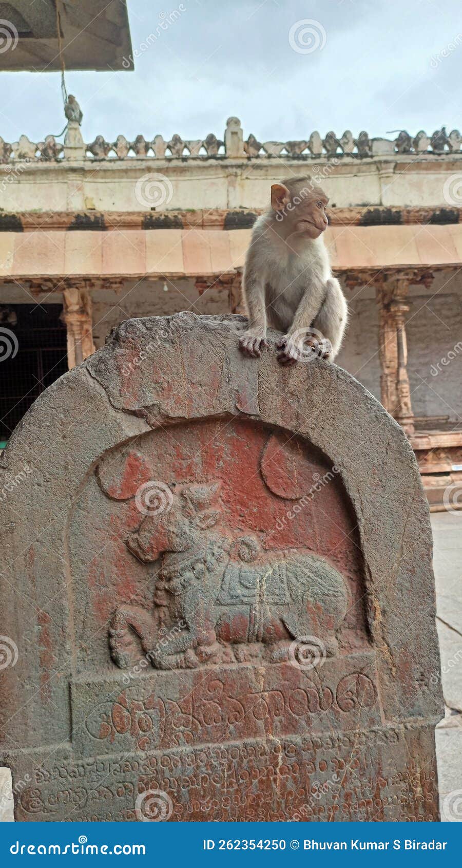 Monkey stock photo. Image of column, history, wall, temple - 262354250