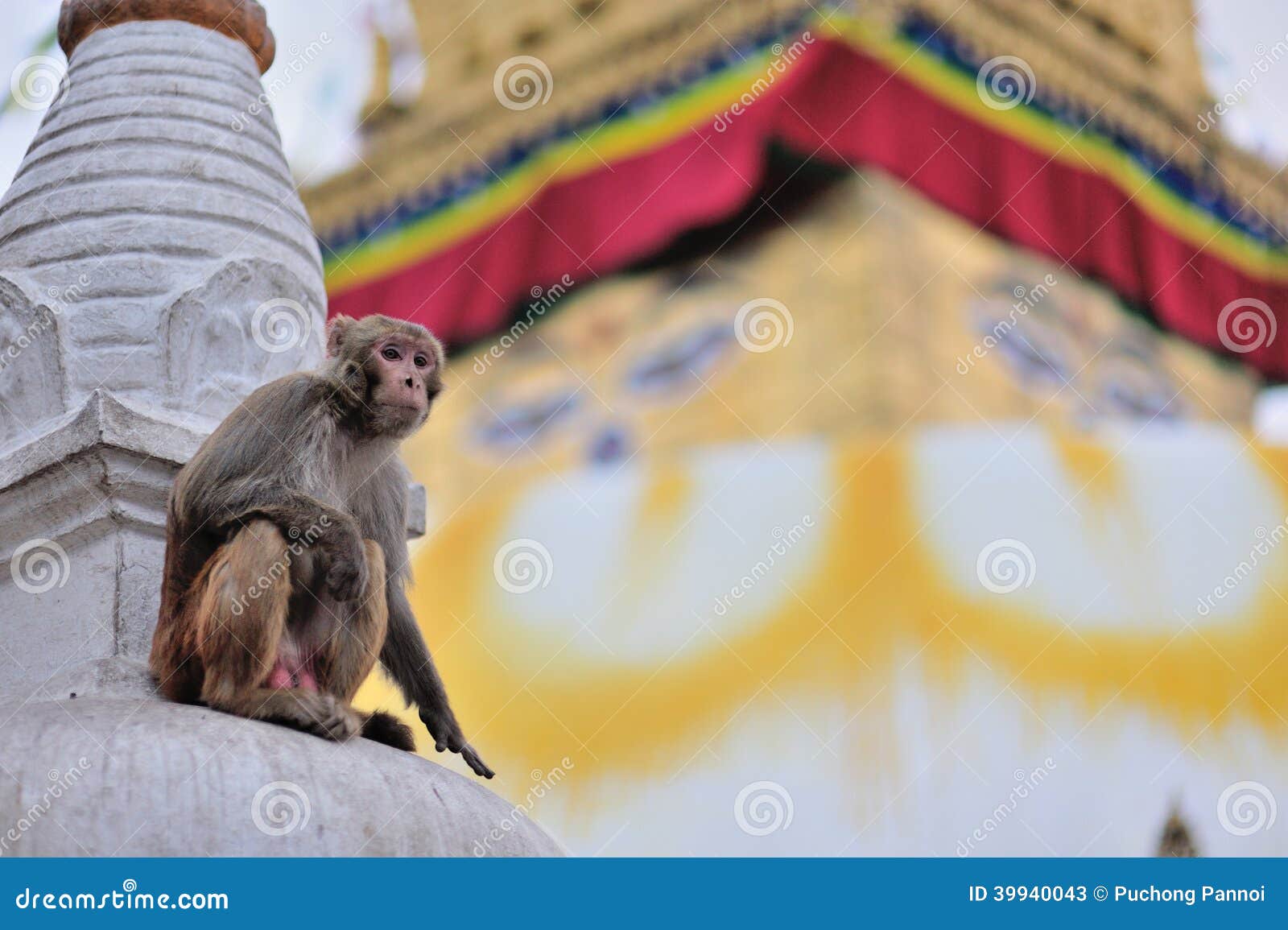 Monkey temple stock image. Image of trekking, landscape - 39940043