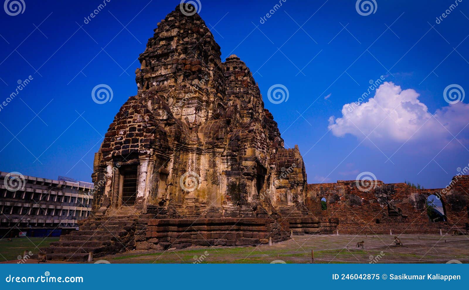 Monkey Temple Thailand stock image. Image of temple - 246042875