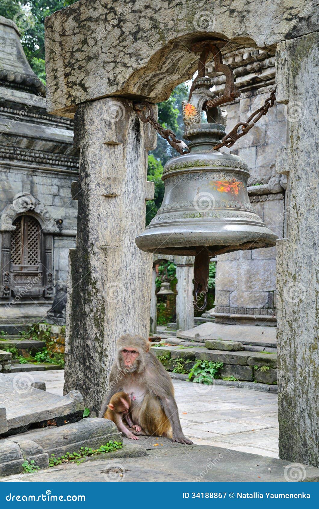 Monkey in temple stock image. Image of animal, group - 34188867