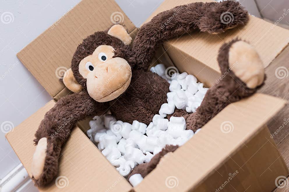 Monkey toy in a box stock image. Image of stuffed, house - 65266133