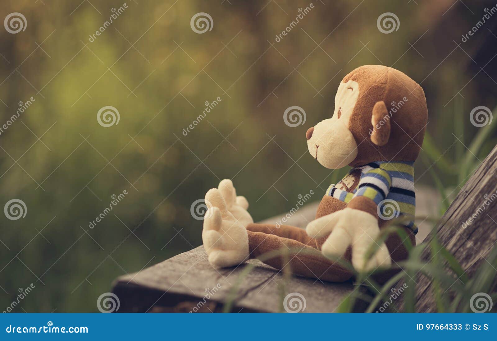 Monkey Toy Sitting on the Bench Stock Image - Image of funny, child ...