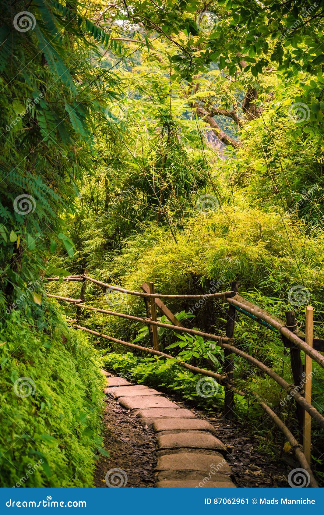 Monkey Trail in Ao Nang, Thailand Stock Image - Image of fence, bamboo ...
