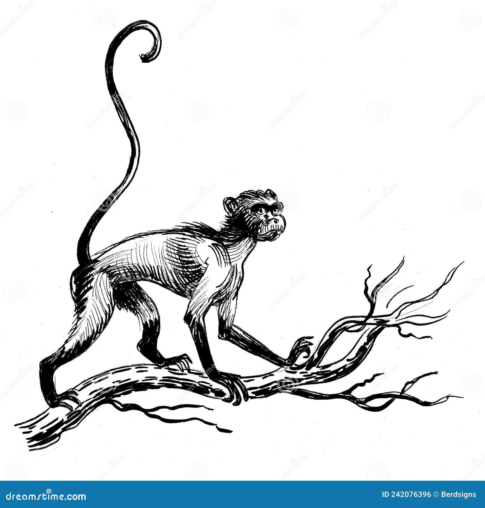 Monkey on tree stock illustration. Illustration of jungle - 242076396