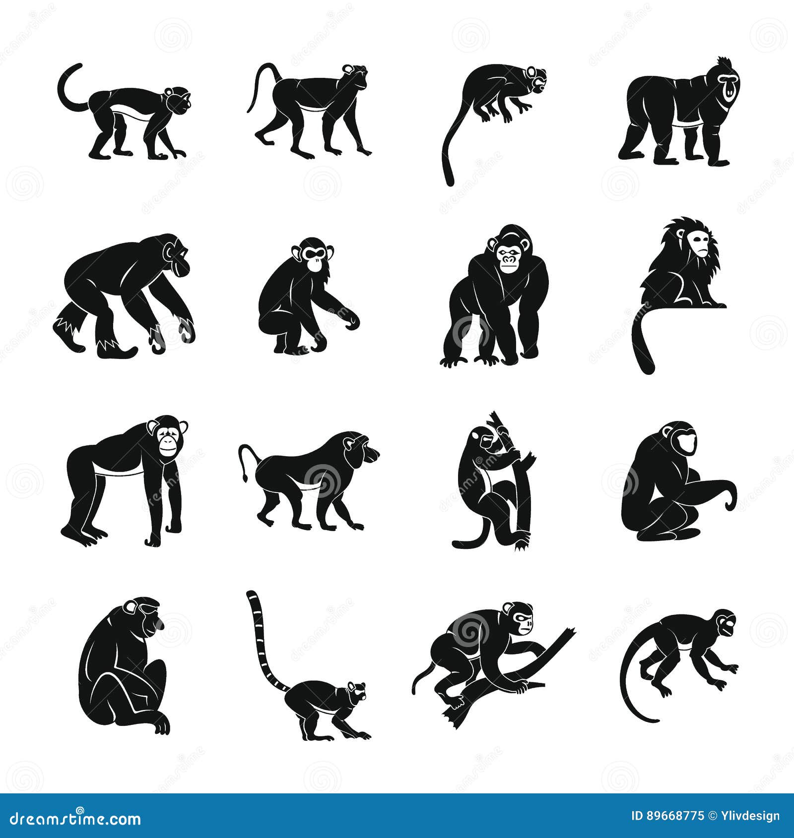 Monkey Types Icons Set, Simple Style Stock Vector - Illustration of ...