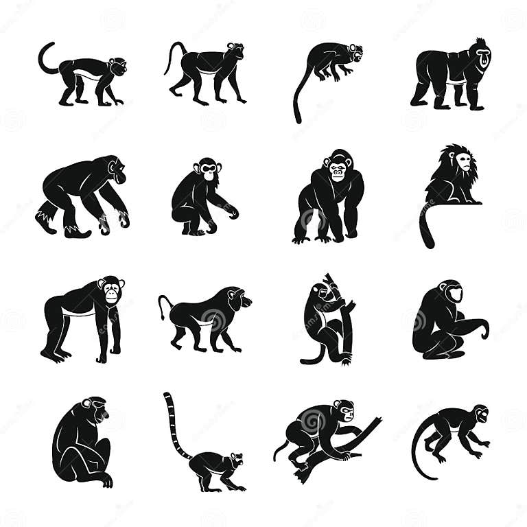 Monkey Types Icons Set, Simple Style Stock Vector - Illustration of ...