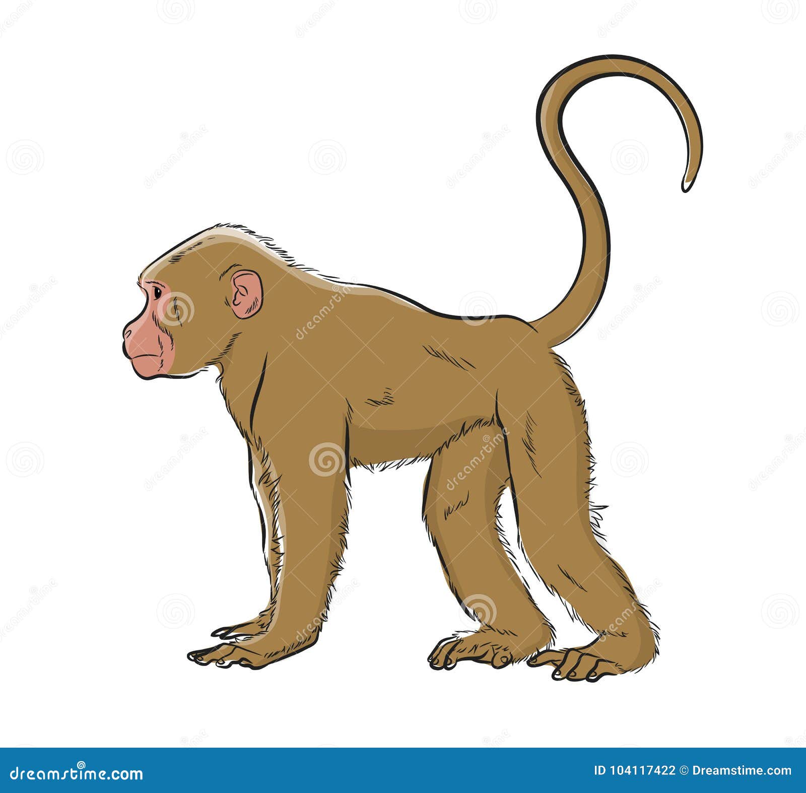 Monkey Vector Illustration stock vector. Illustration of monkey - 104117422