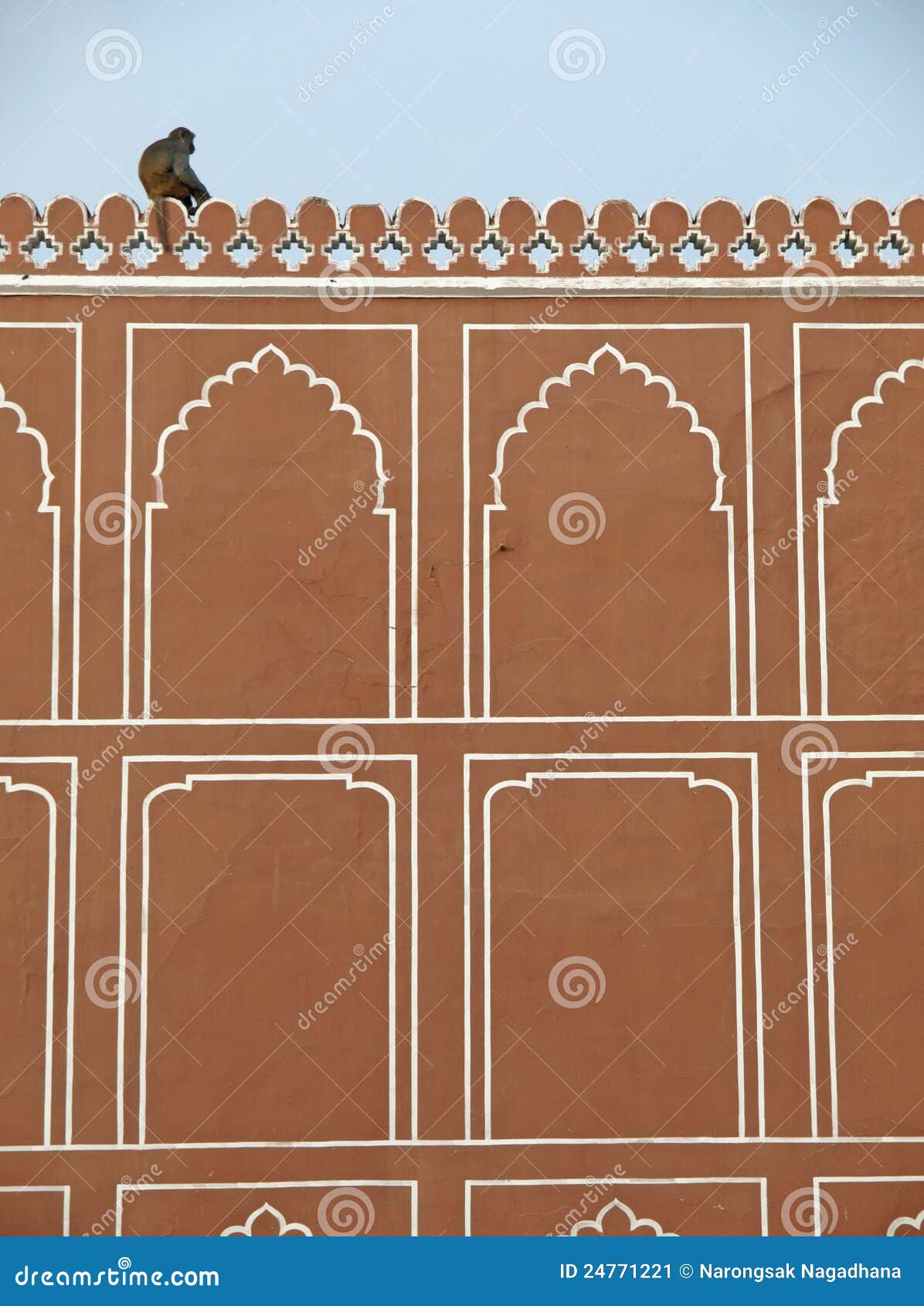 Monkey Wall Sculpture Stock Image | CartoonDealer.com #44267221