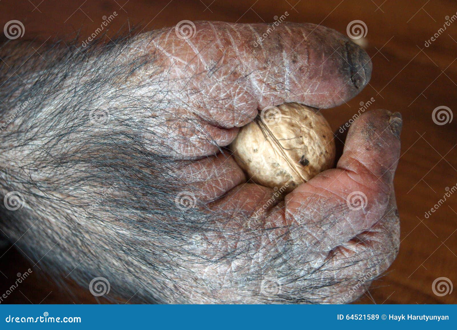 Real Monkey Next To A Statue Of Fake Monkeys At Ubud Monkey Forest ...