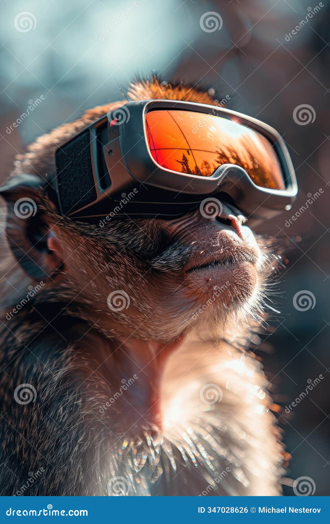 Monkey Wearing Virtual Reality Vr Glasses Stock Photo - Image of head ...