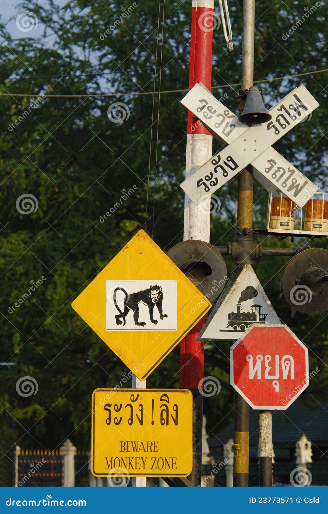 Monkey zone stock image. Image of cityscape, sign, crossing - 23773571