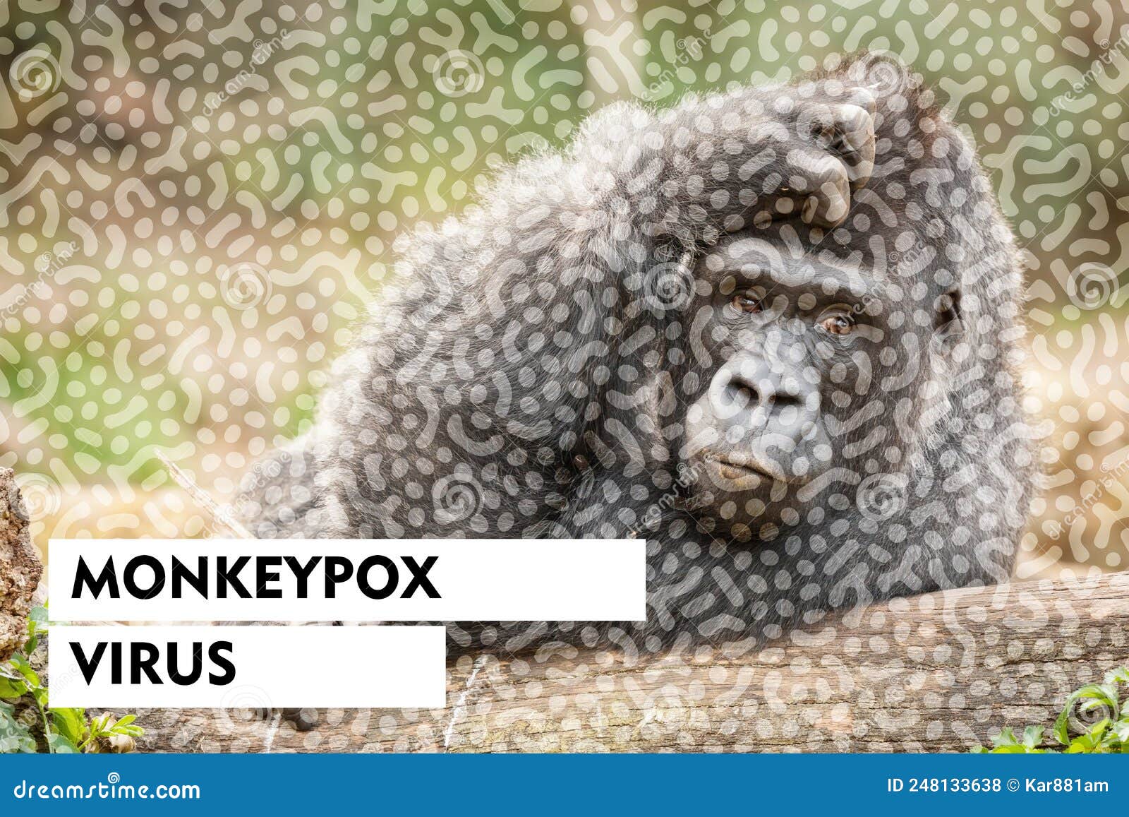 Monkeypox Outbreak Concept. Monkeypox is Caused by Monkeypox Virus ...
