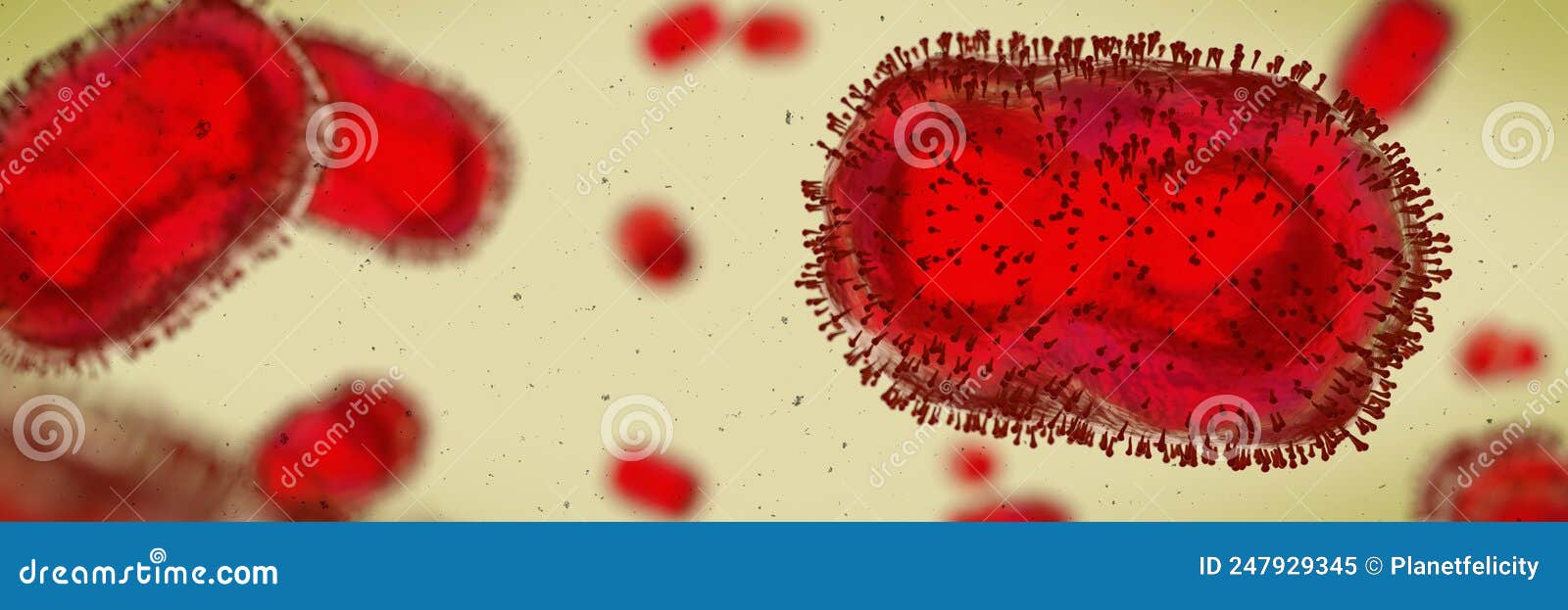 Monkeypox Virus, One of the Human Orthopoxviruses, Background Banner ...