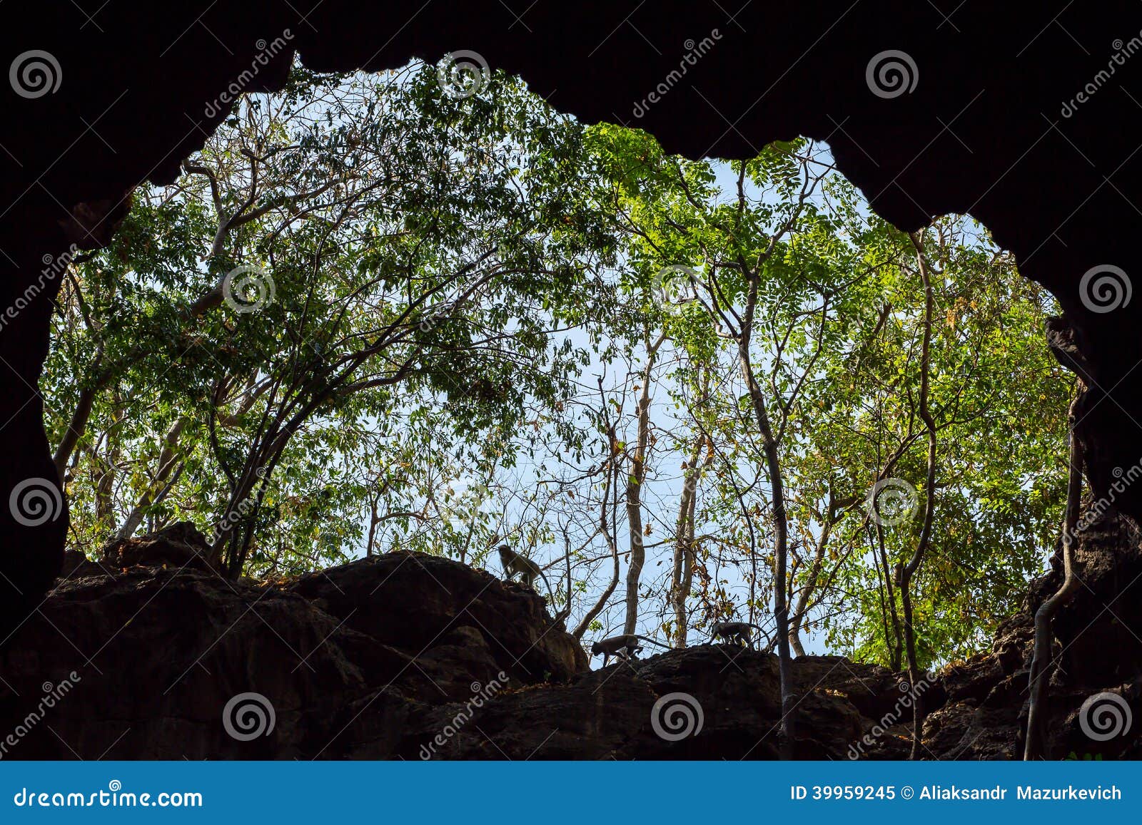 Monkeys at the Cave Entrance Stock Image - Image of luang, macaque ...