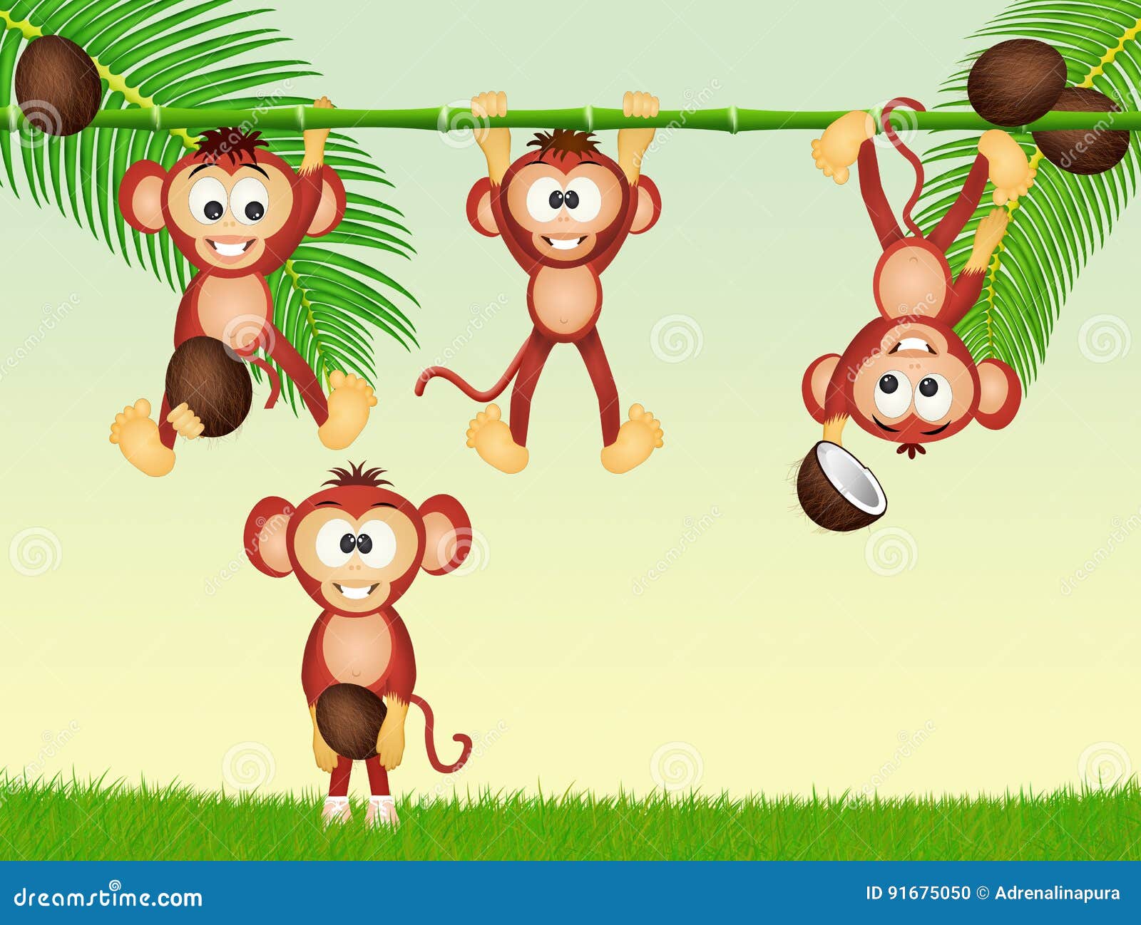 Monkeys and coconuts stock illustration. Illustration of wild - 91675050