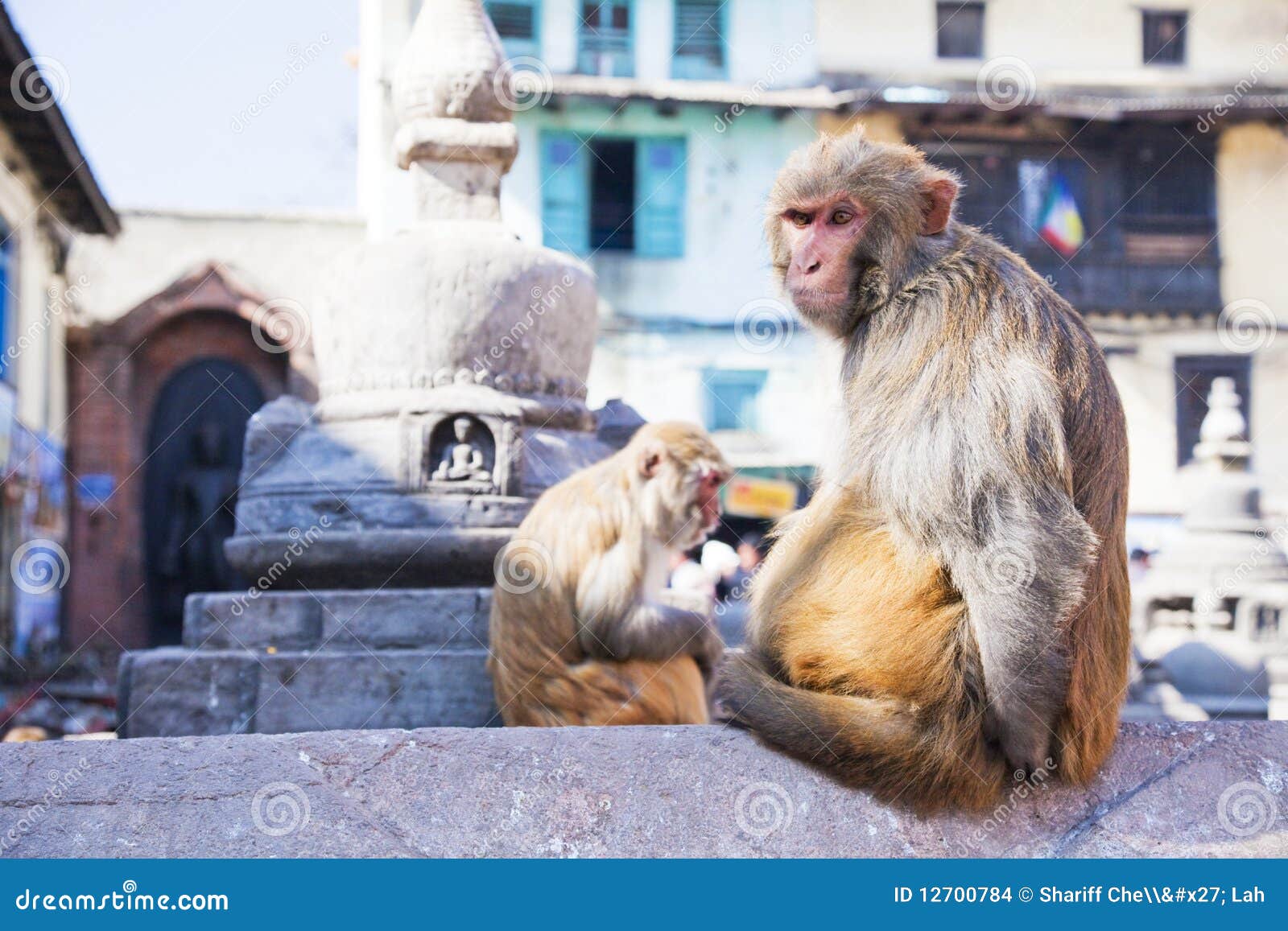 Swayambunath Monkey Temple Royalty-Free Stock Photography ...