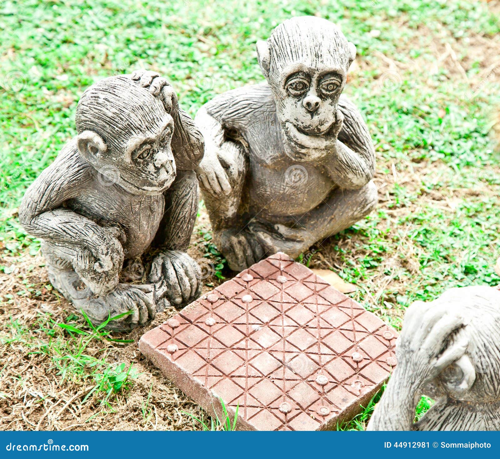 Monkeys playing checkers stock image. Image of playful - 44912981