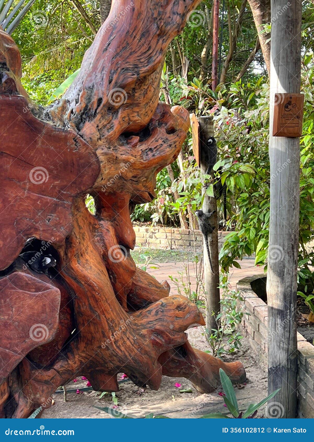 Monkeys Playing on a Tree Trunk Stock Photo - Image of trunk, animais ...