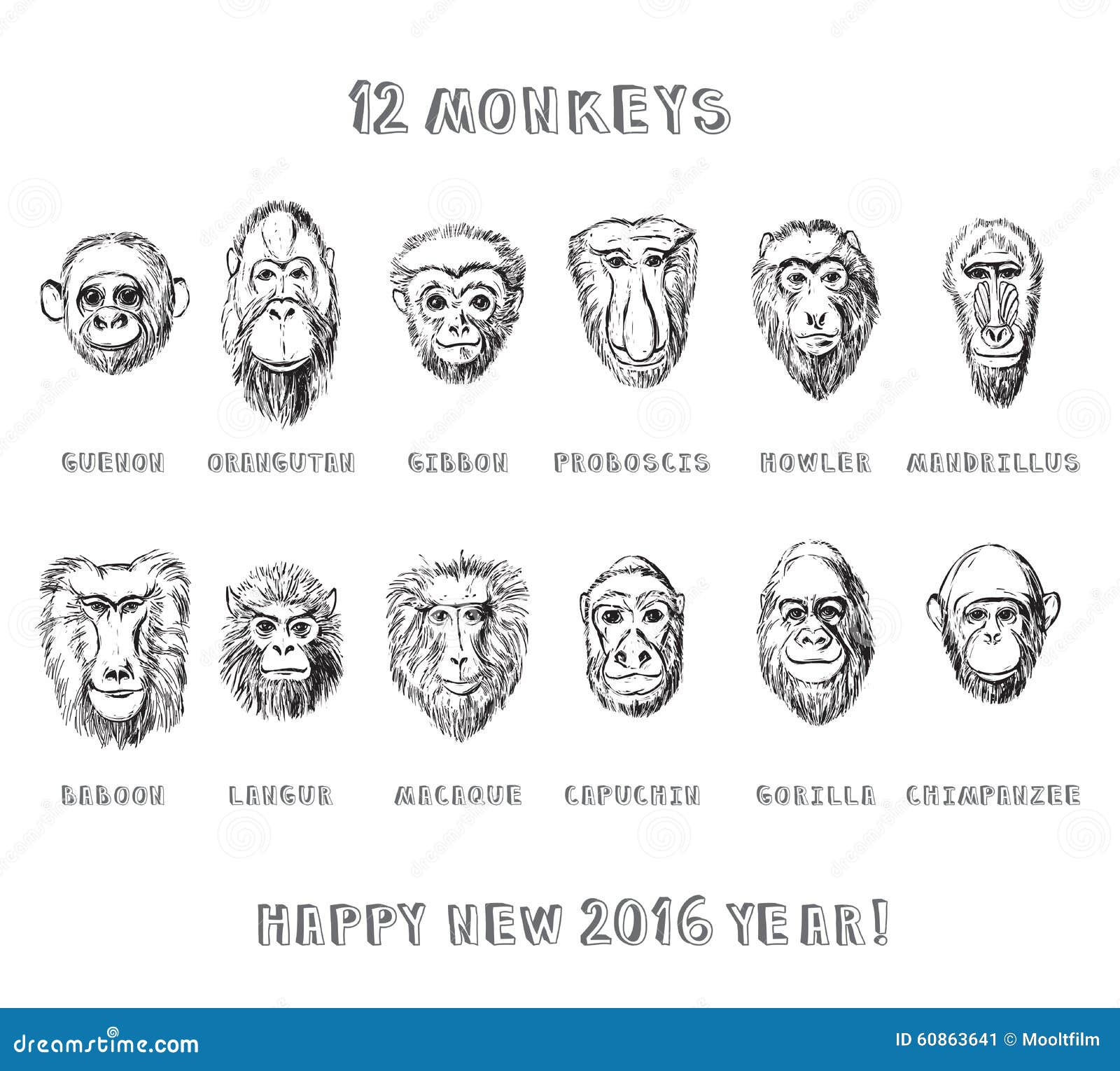 Monkeys set stock vector. Illustration of capuchin, macaque - 60863641