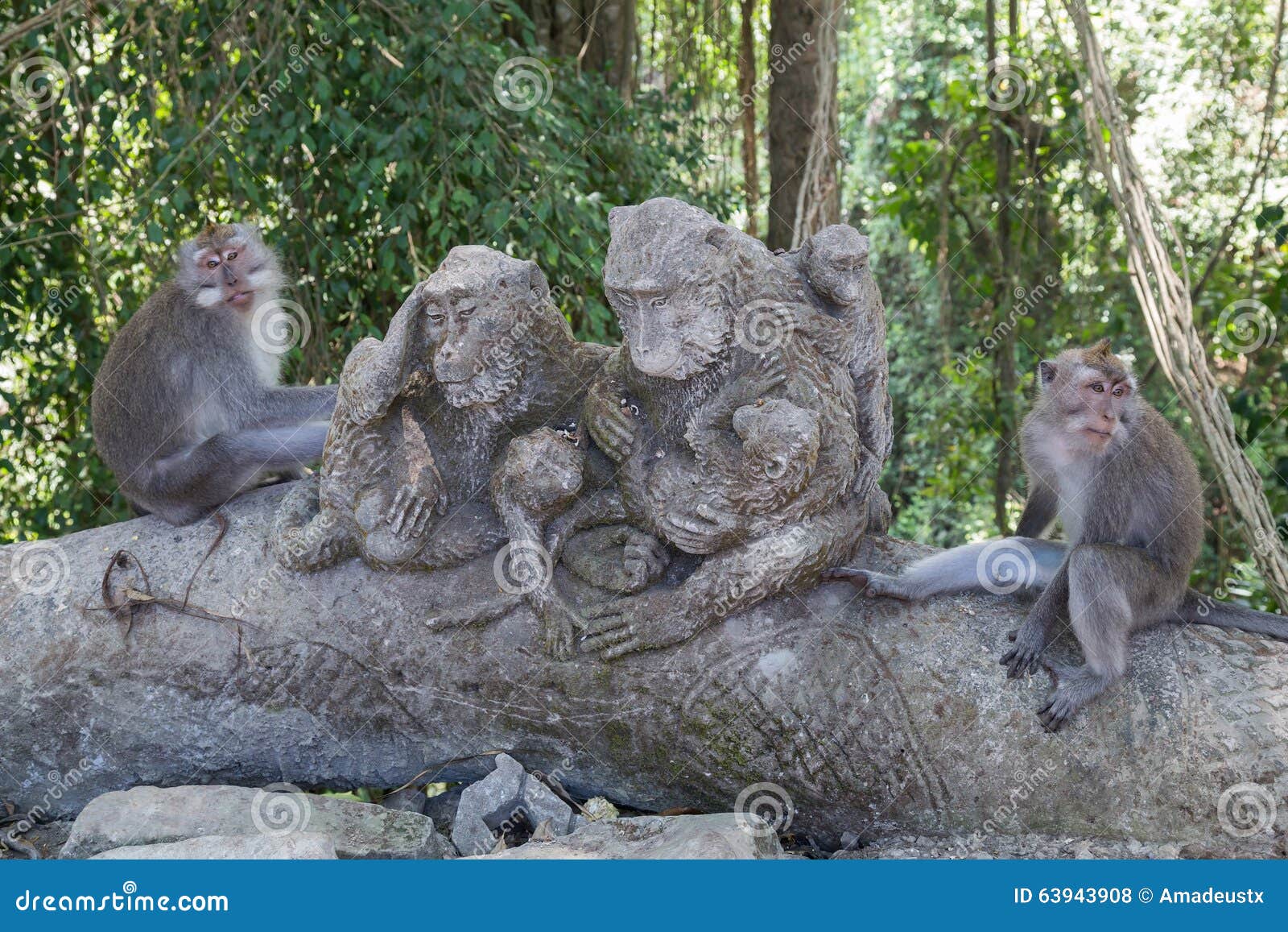 Monkeys Sitting in Ubud Sacred Monkey Forest on Bali Stock Photo ...